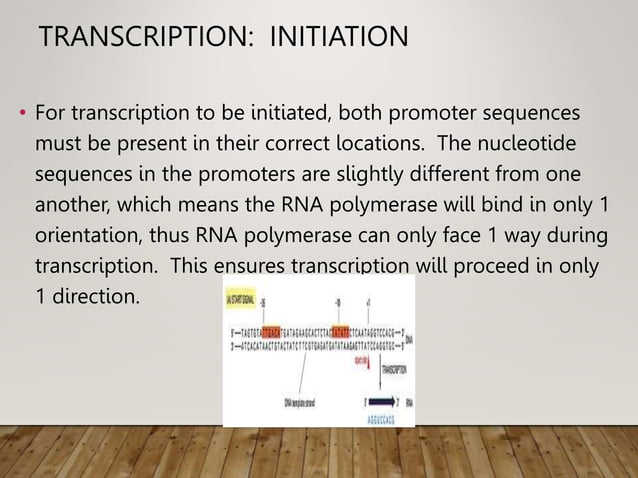 Proteins synthesis.ppt