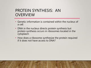 Proteins synthesis.ppt