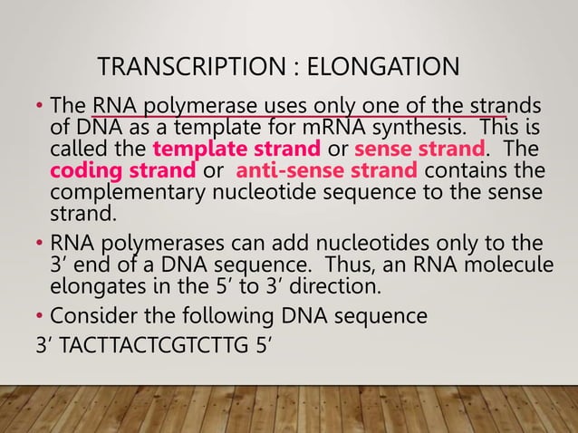 Proteins synthesis.ppt