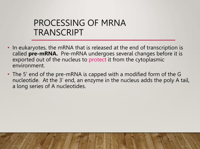 Proteins synthesis.ppt