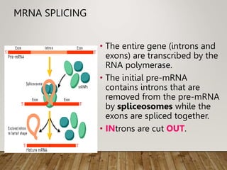 Proteins synthesis.ppt