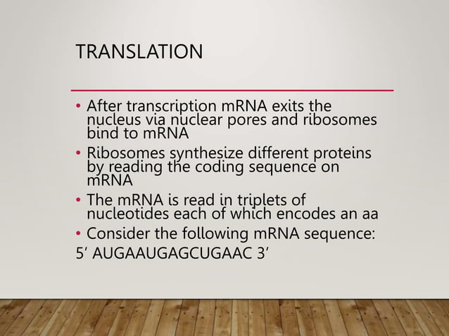 Proteins synthesis.ppt
