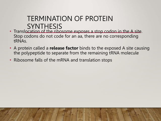 Proteins synthesis.ppt