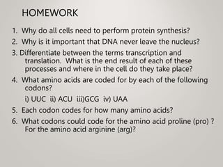 Proteins synthesis.ppt