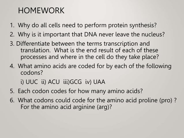 Proteins synthesis.ppt