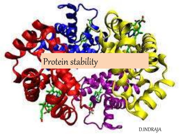 Protein stability(molecular biology) | PPTX | Chemistry | Science
