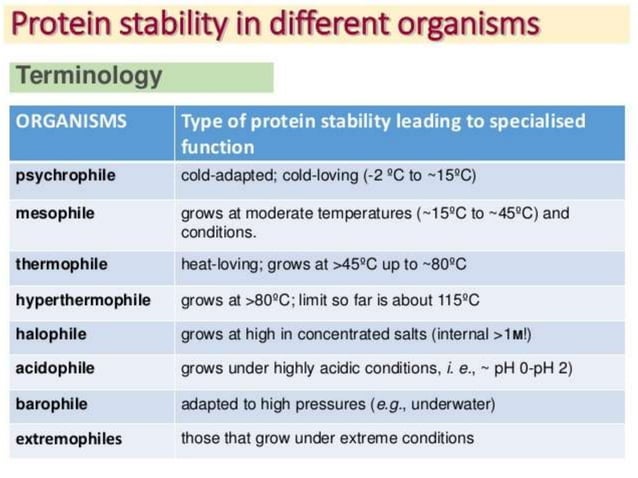 Protein stability(molecular biology) | PPTX | Chemistry | Science