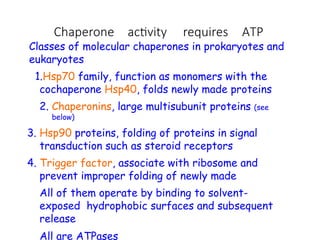 Protein Stability and folding.pptx/pdf.. | PPTX