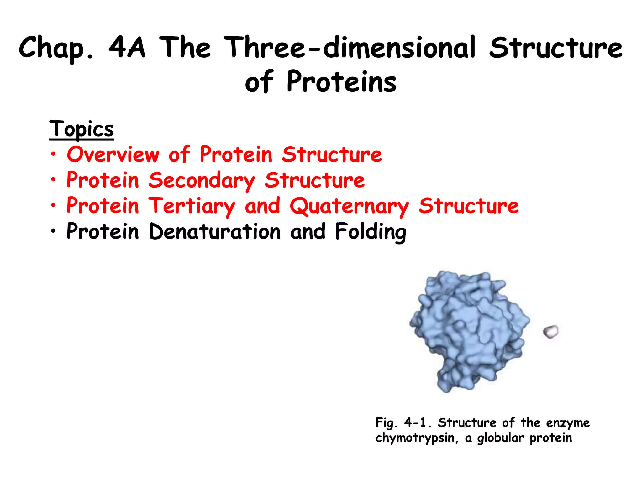 protein str good.ppt