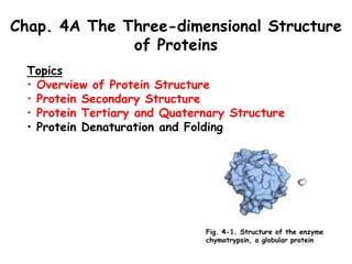 protein str good.ppt