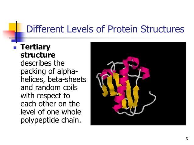 Protein struc pred-Ab initio and other methods as a short introduction.ppt