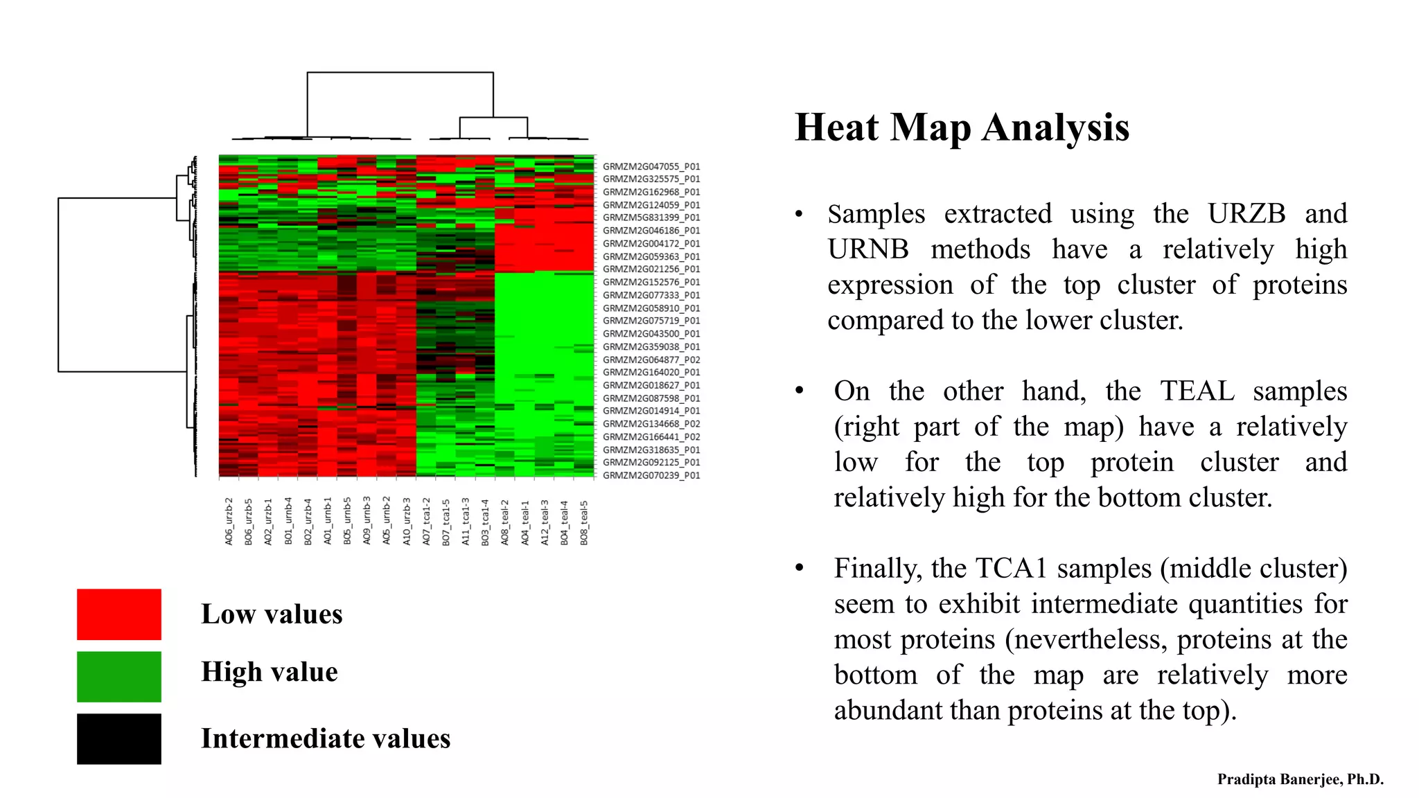 Protein Secondary Structure, Ramachandran Plot, Molecular Docking ...
