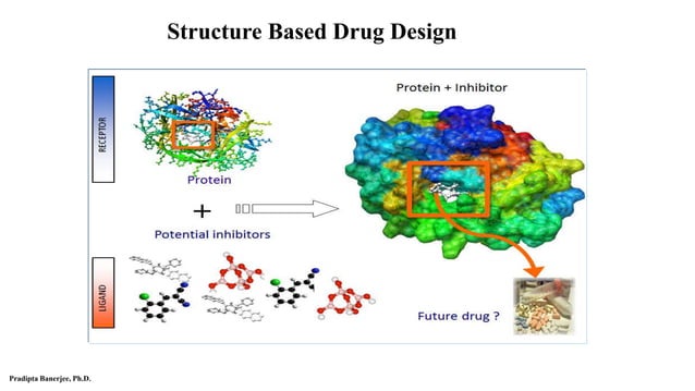 Protein Secondary Structure, Ramachandran Plot, Molecular Docking ...