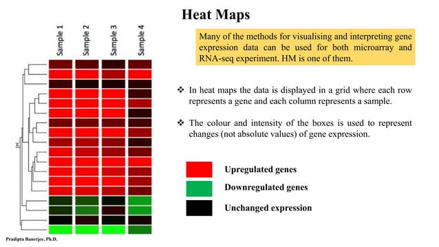 Protein Secondary Structure, Ramachandran Plot, Molecular Docking ...