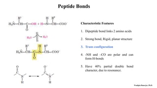 Protein Secondary Structure, Ramachandran Plot, Molecular Docking ...