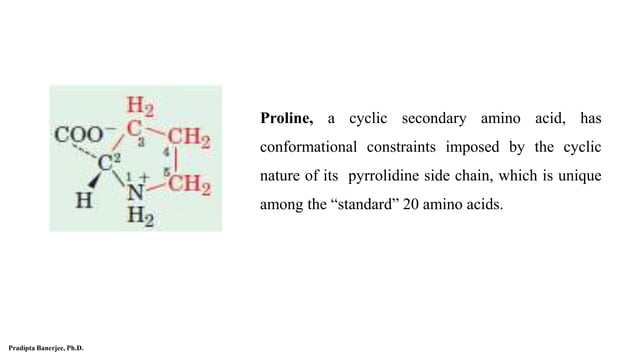 Protein Secondary Structure, Ramachandran Plot, Molecular Docking ...