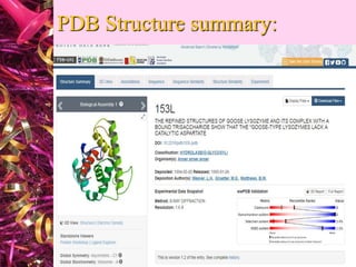 Protein structural analysis | PPTX