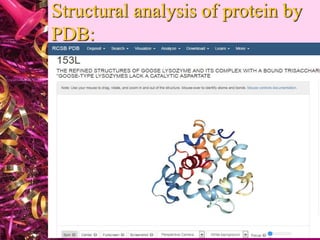 Protein structural analysis | PPTX