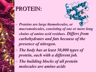 Protein structural analysis | PPTX