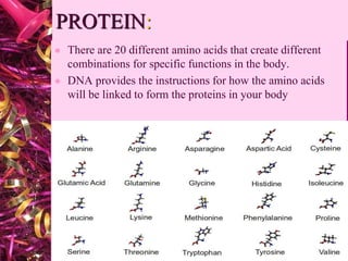 Protein structural analysis | PPTX