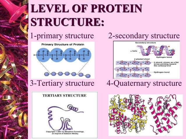 Protein structural analysis | PPTX