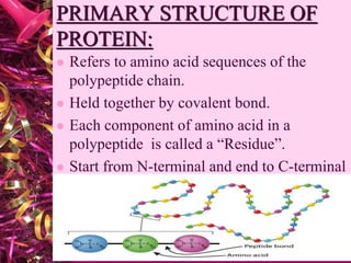 Protein structural analysis | PPTX