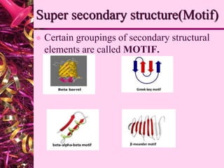 Protein structural analysis | PPTX