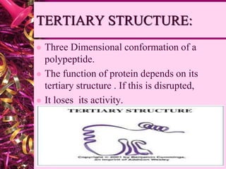 Protein structural analysis | PPTX