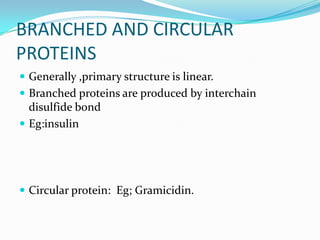 Protein structural organisation | PPT