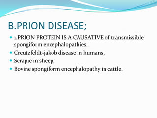Protein structural organisation | PPT