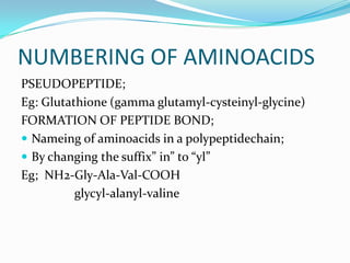 Protein structural organisation | PPT