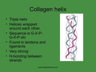 Protein Structure | PPT