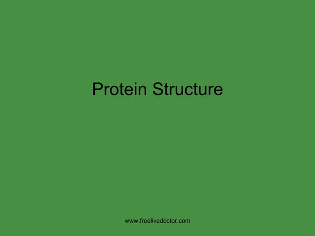 Protein Structure | PPT