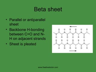 Protein Structure | PPT