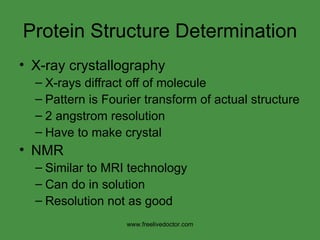 Protein Structure | PPT