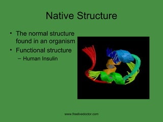Protein Structure | PPT
