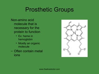 Protein Structure | PPT