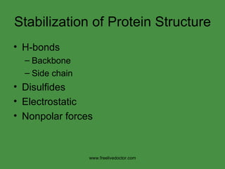Protein Structure | PPT