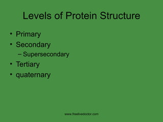 Protein Structure | PPT