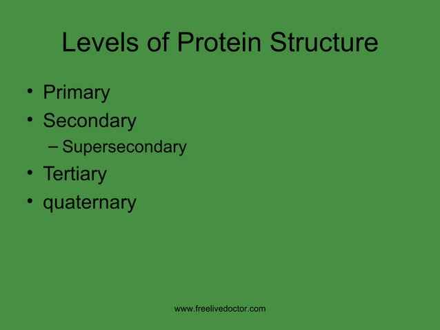 Protein Structure | PPT