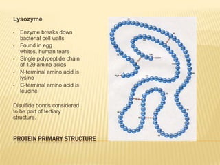 Protein structure | PPT