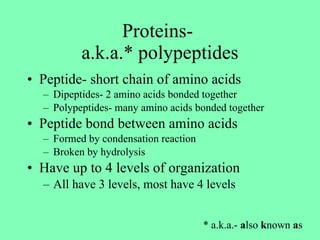 Protein structure | PPT