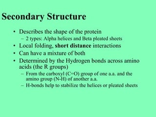 Protein structure | PPT