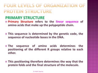 Protein structure | PDF
