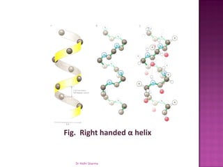 Protein structure | PDF