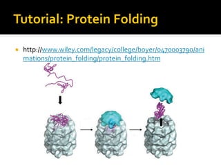 Protein structure | PPT