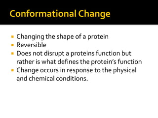 Protein structure | PPT
