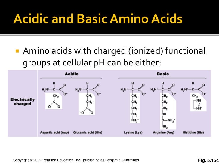 Protein structure