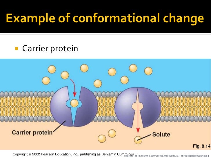 Protein structure