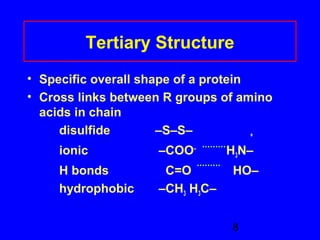 Protein structure | PPT